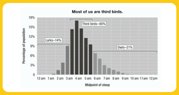 Create The Perfect Daily Plan: 10 Ideas That Really Work